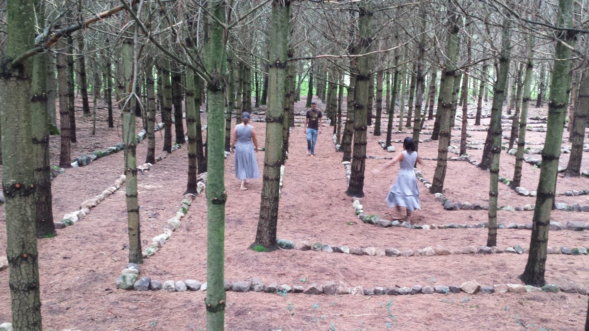 The Forest Labyrinth – a peaceful "meander with intention" amongst the ...
