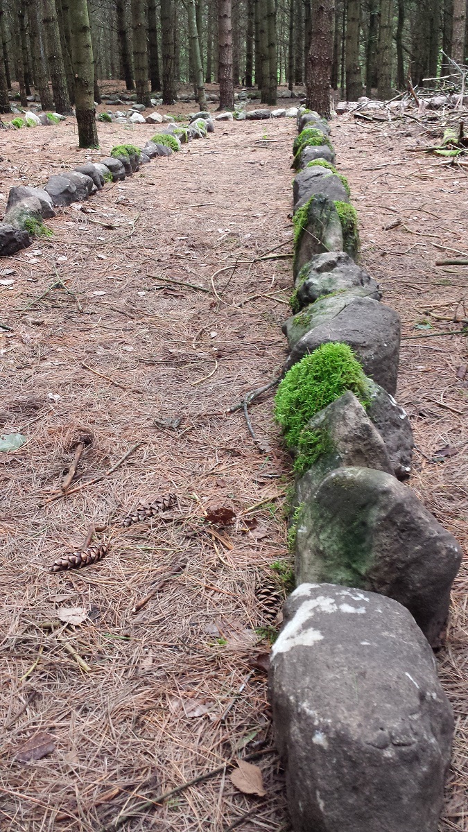 Creating the Forest Labyrinth – The Forest Labyrinth