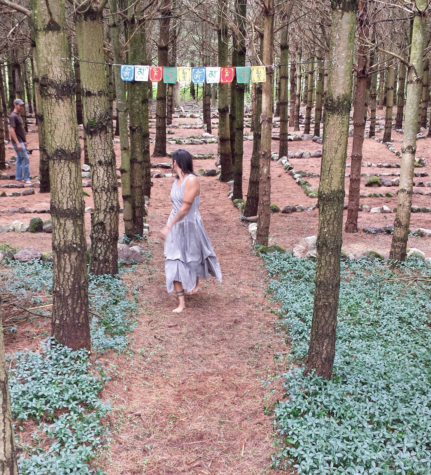 Book a Visit to Walk the Labyrinth – The Forest Labyrinth