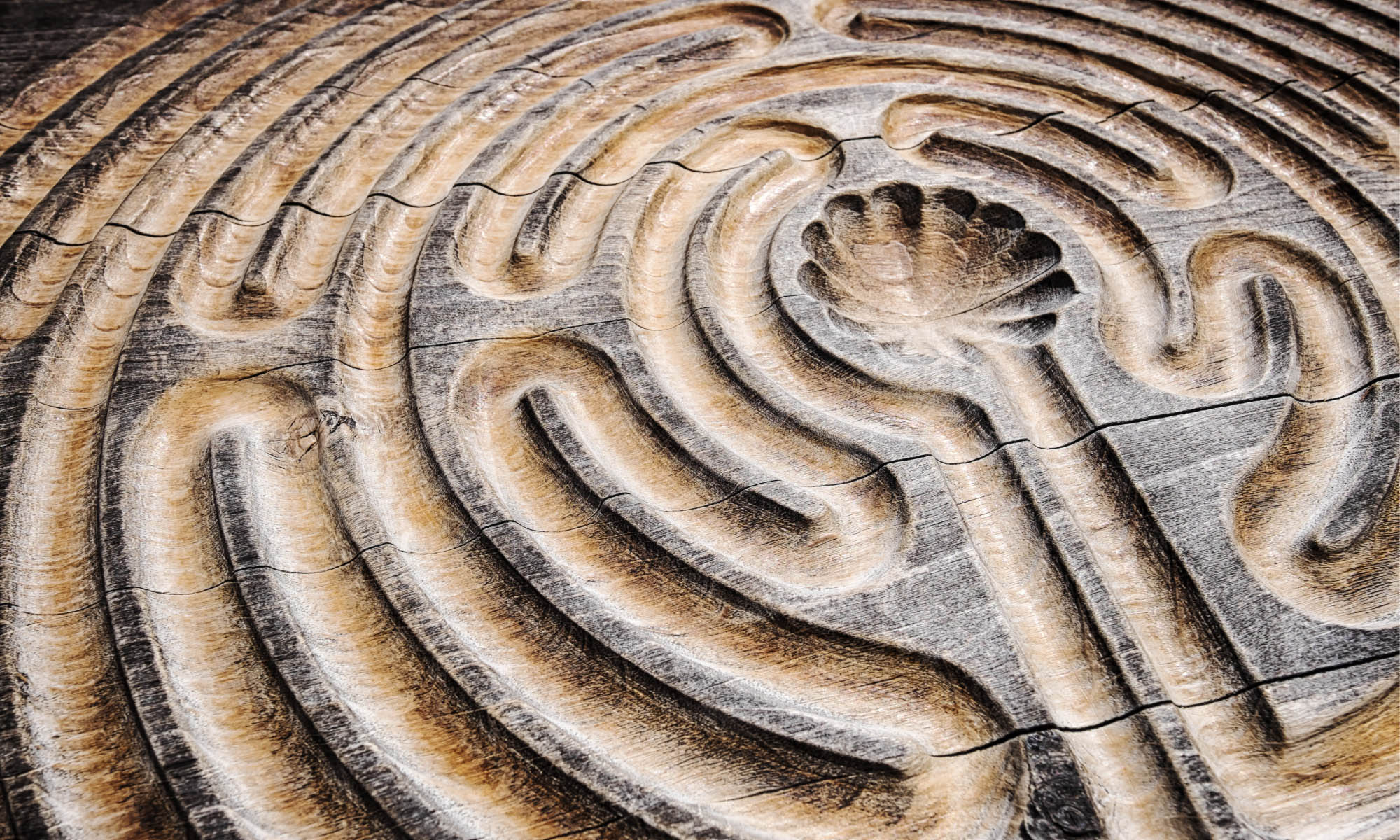Using a Labyrinth – The Forest Labyrinth