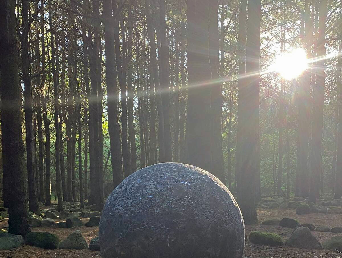 Meditation + Intention – The Forest Labyrinth